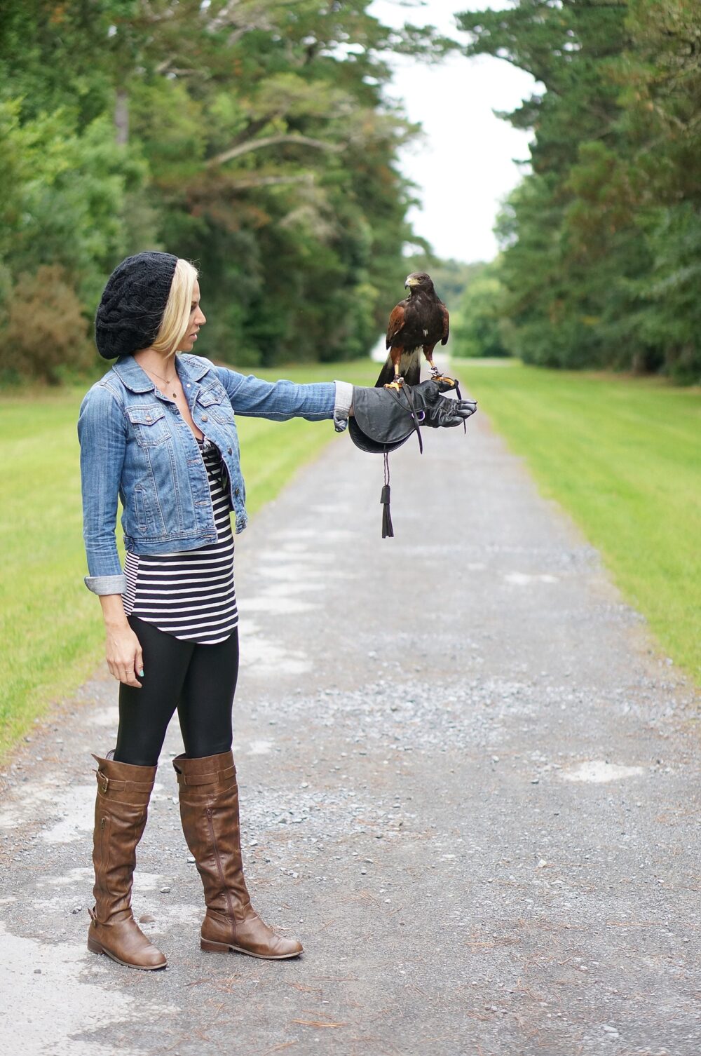 ireland-walk-a-hawk – Diana Elizabeth Blog