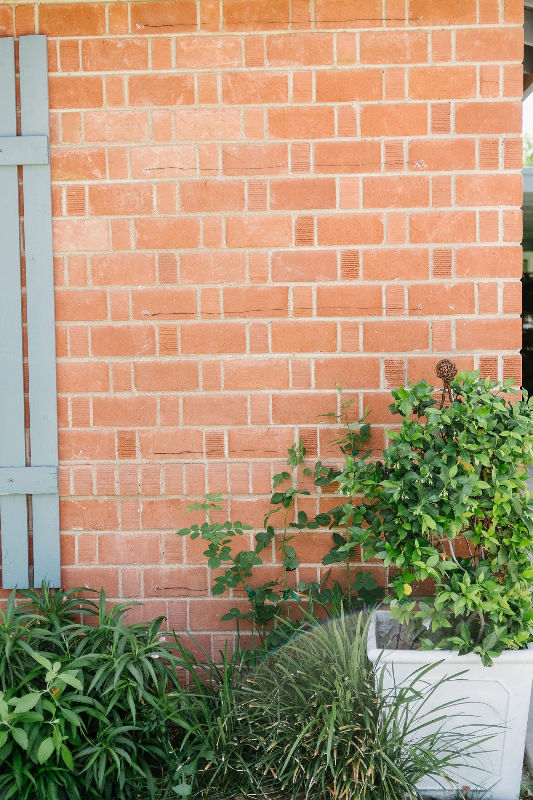 how-to-make-trellis-rose-vines-on-brick-20 – Diana Elizabeth Blog