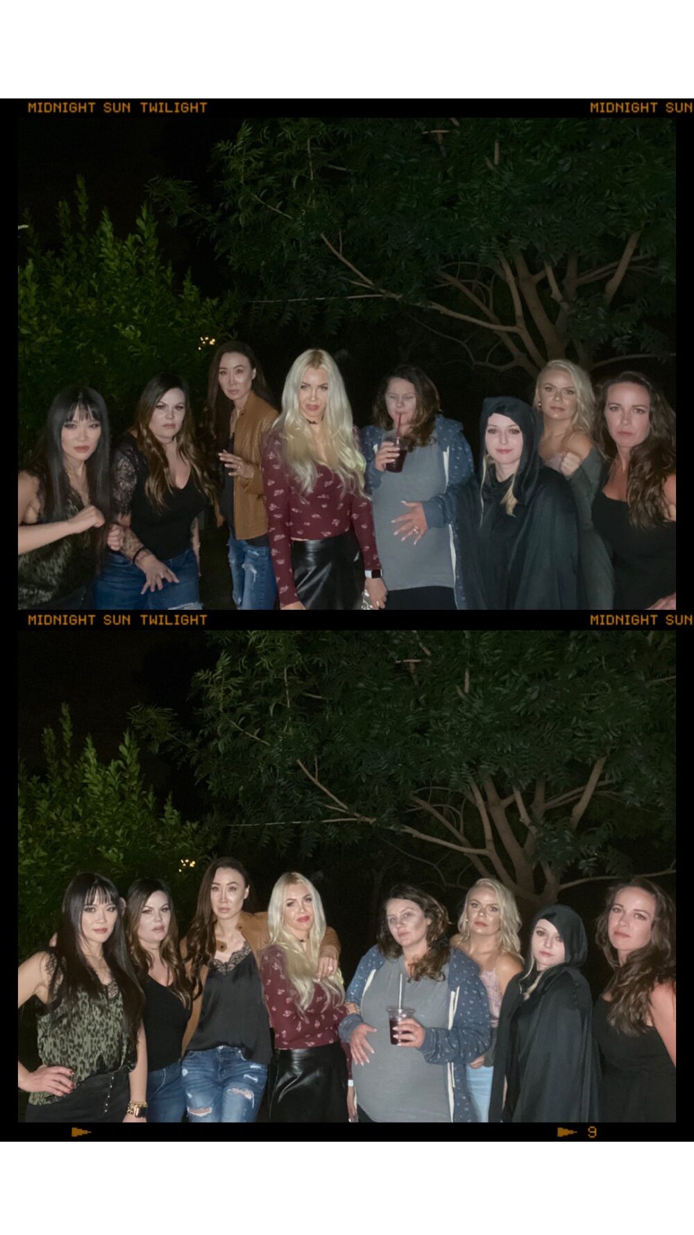 Twilight Saga Midnight Sun Party: Decor, Costumes + Food – Diana ...