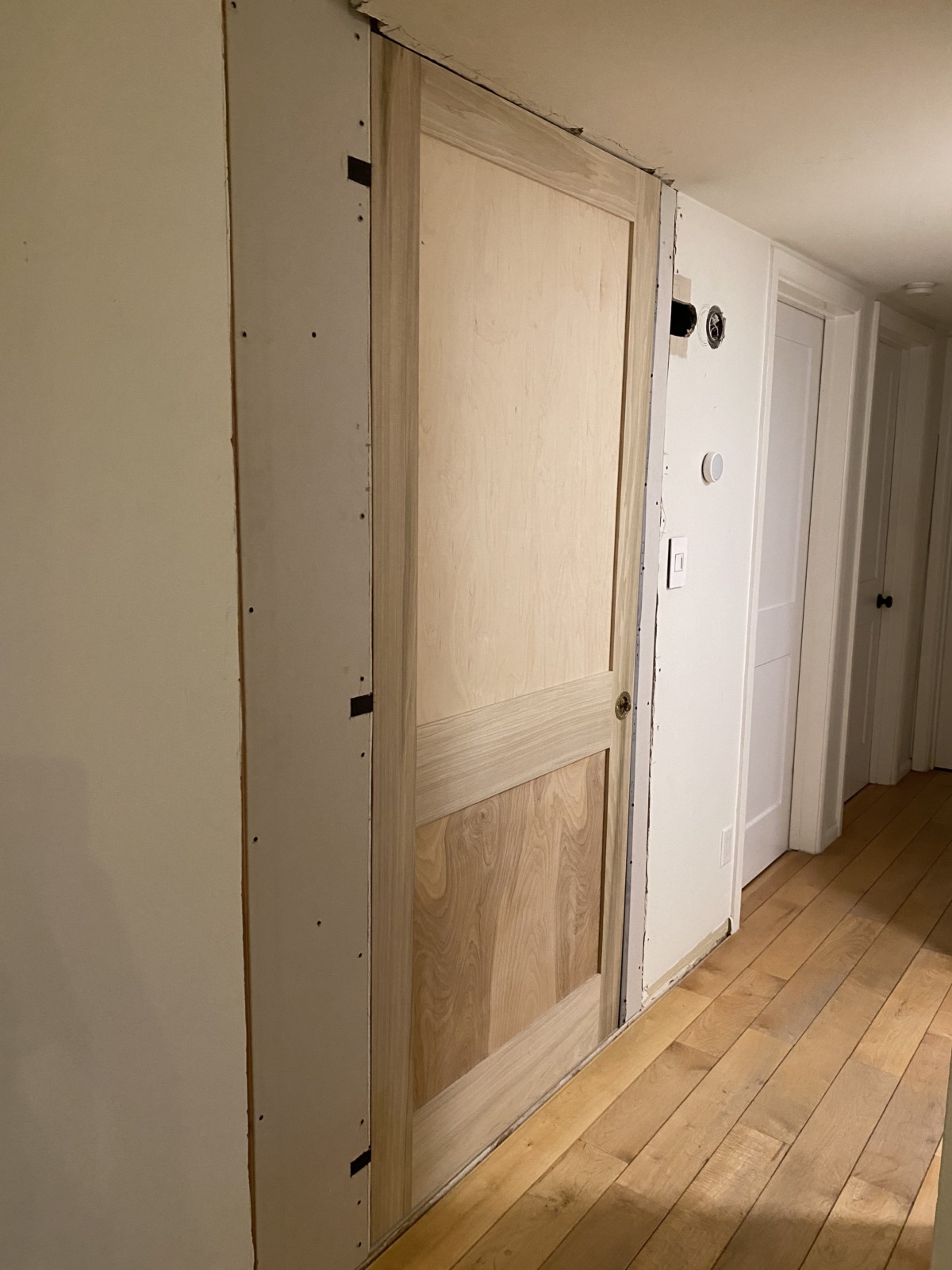 How and why we Installed a Harmon Hinge door - Diana Elizabeth