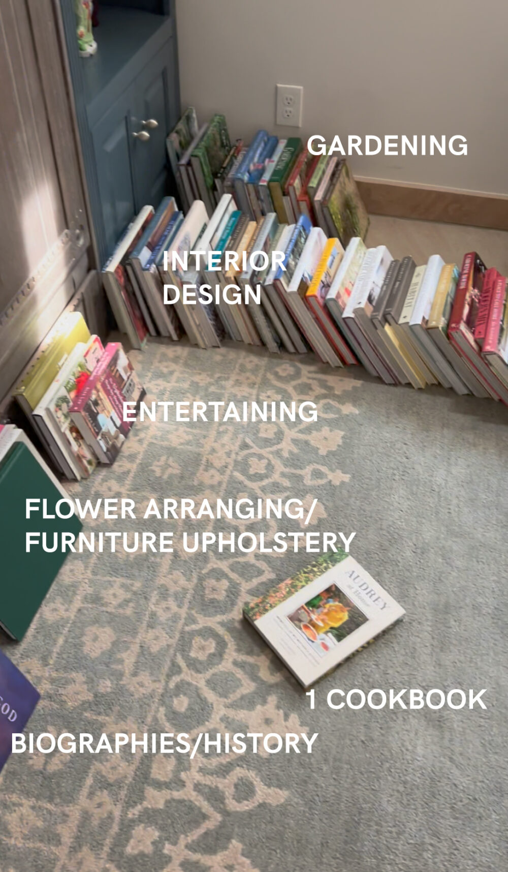 Organizing the bookcase – by color or subject? – Diana Elizabeth Blog