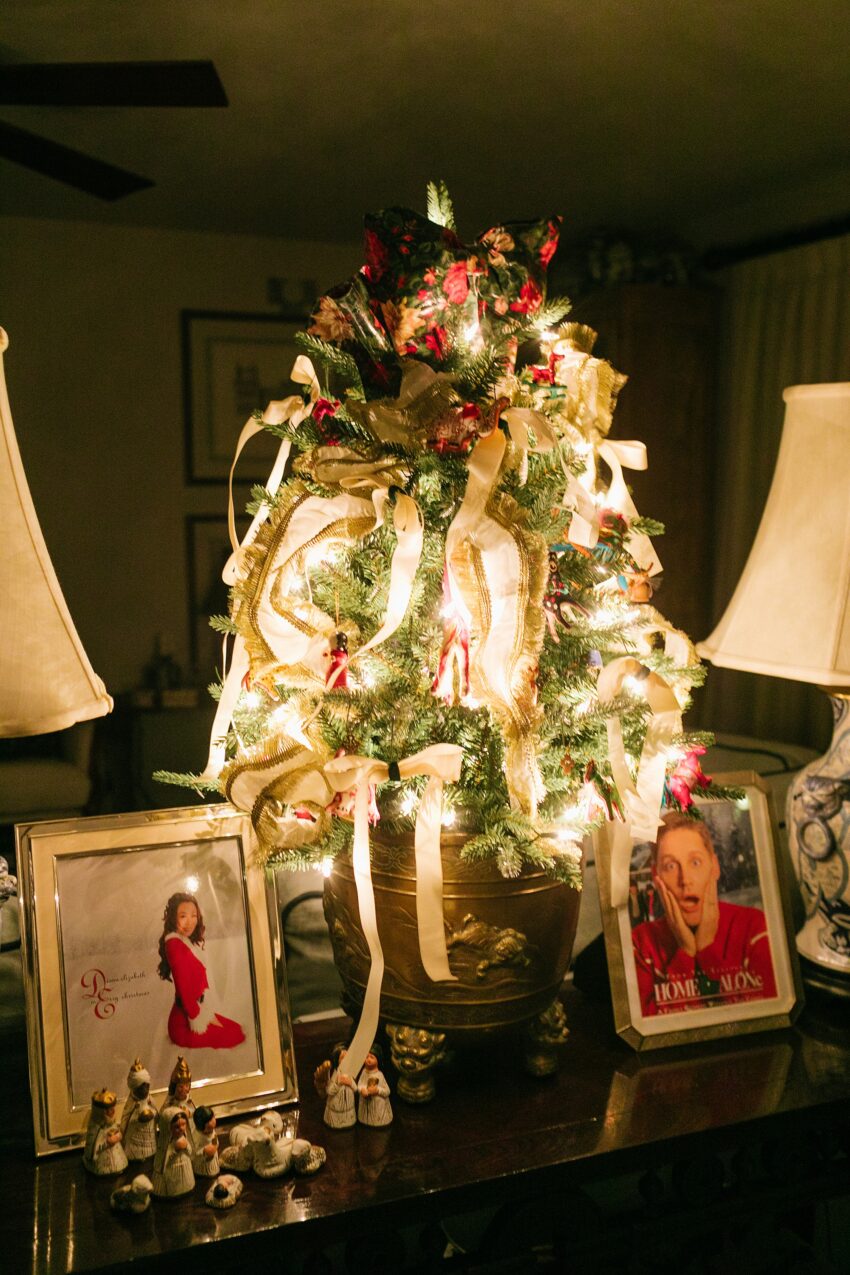 Christmas around here – Diana Elizabeth Blog