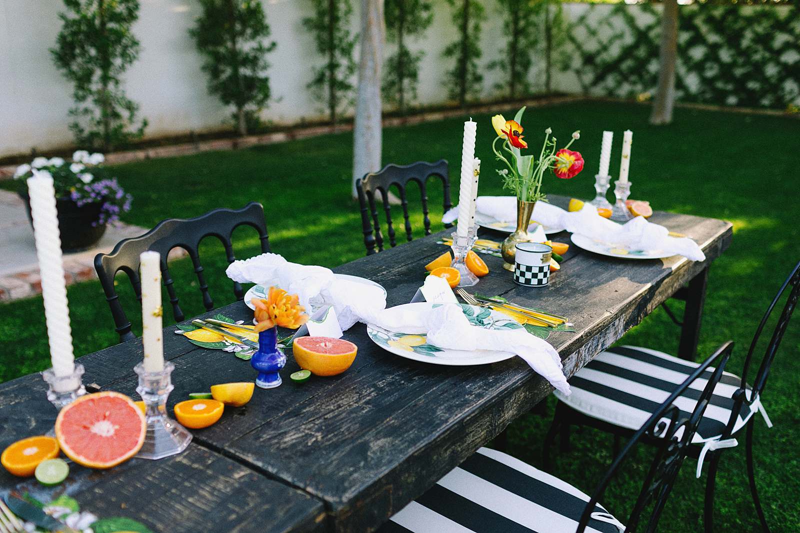 Garden party: A Citrus Food Themed Potluck – Diana Elizabeth Blog