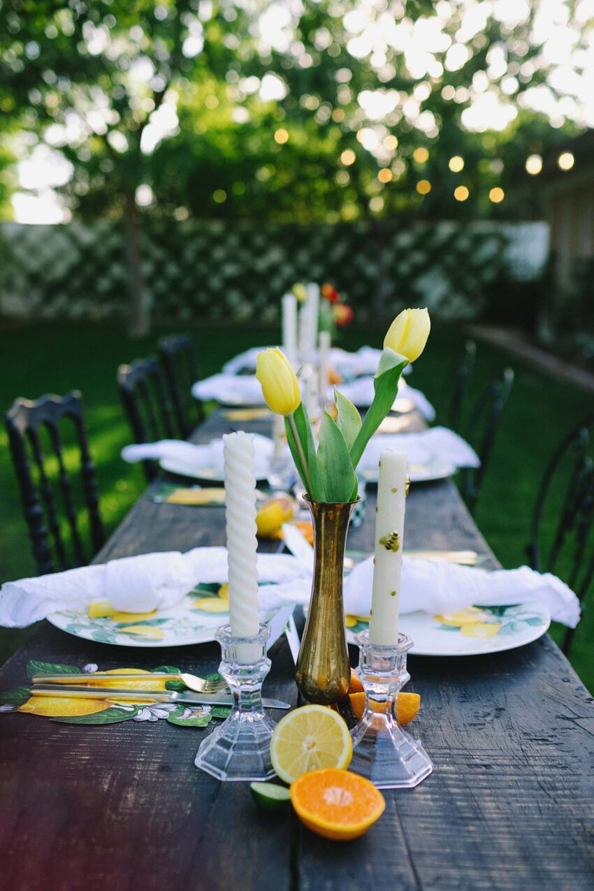 Garden party: A Citrus Food Themed Potluck – Diana Elizabeth Blog