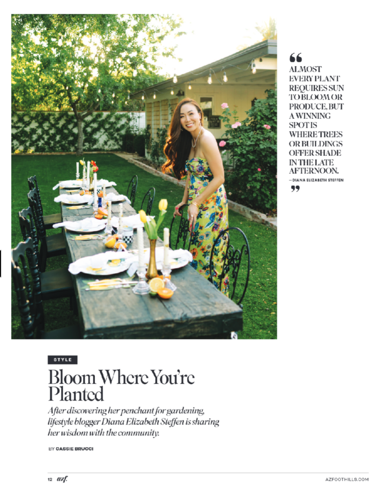 Featured in Arizona Foothills Magazine! - Diana Elizabeth Steffen