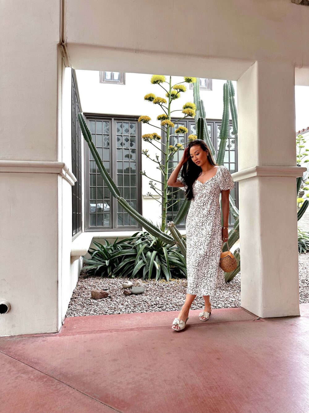 White Dress - Diana Elizabeth Steffen