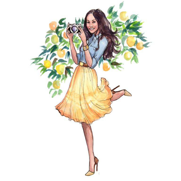 How to grow and care for roses in Arizona - Diana Elizabeth Steffen