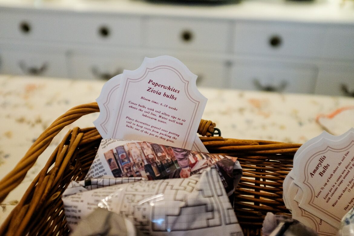 The Prettiest Winter Tradition You’ll Want to Start — A Bulb Planting ...