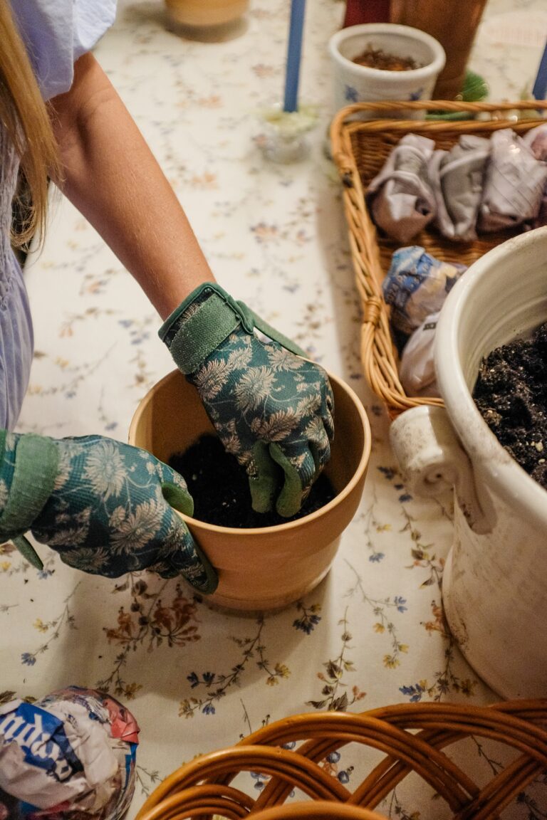 The Prettiest Winter Tradition You’ll Want to Start — A Bulb Planting ...